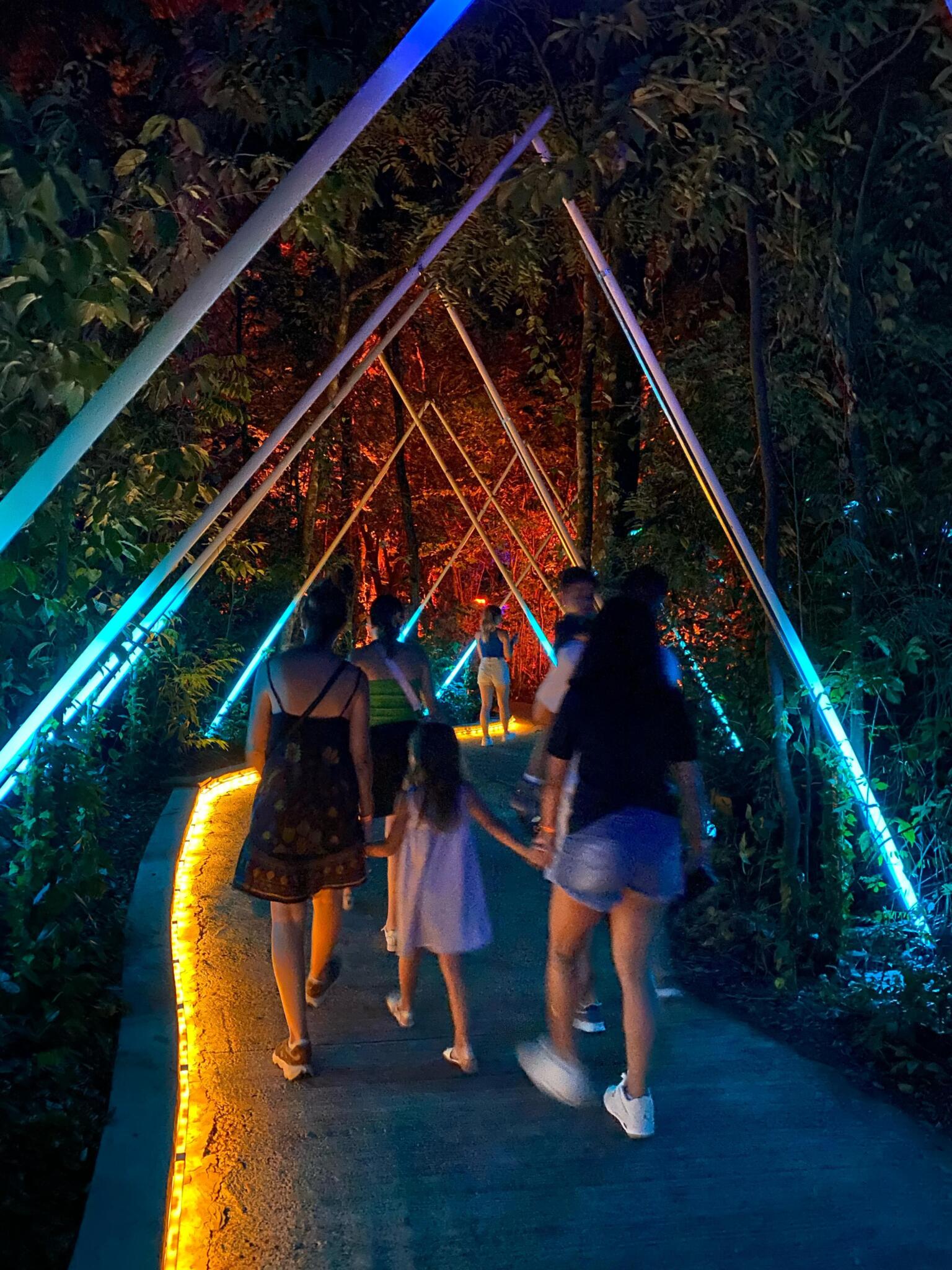 Lumina Park Foz: Experiência Noturna de Luz e Encanto